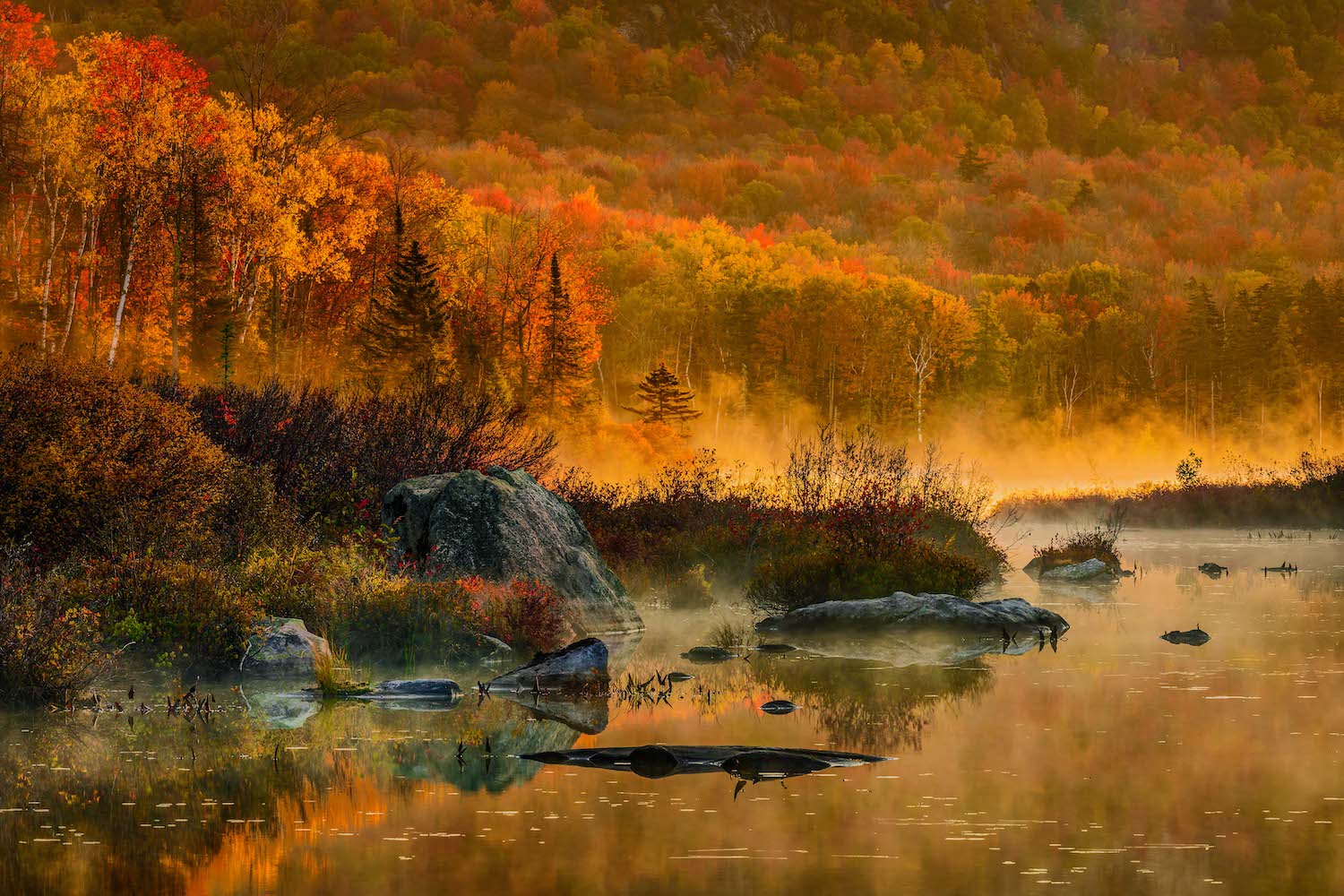 Photo Contest Winners – Gura Gear